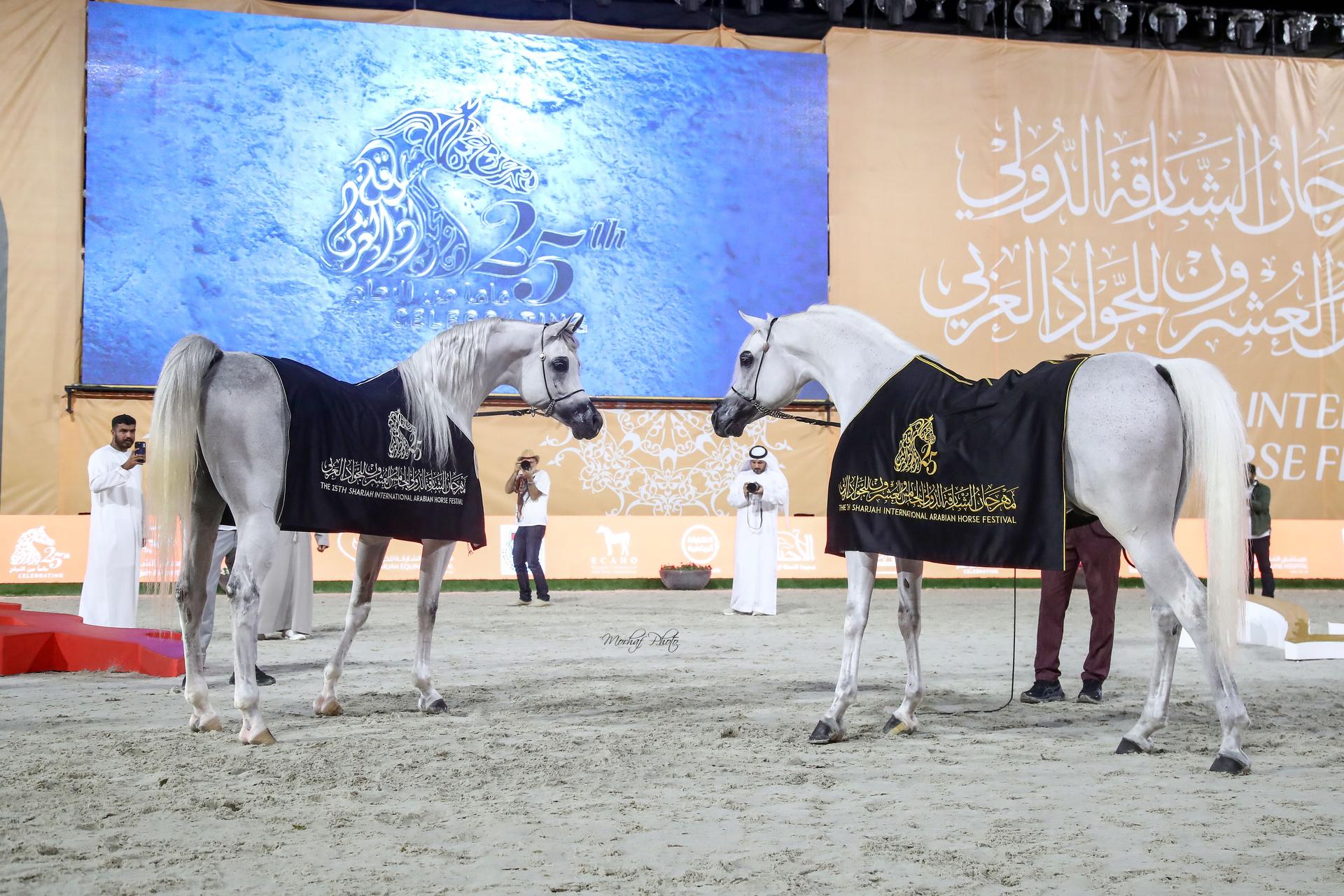 SHARJAH EQUESTRIAN RACING CLUB